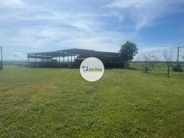 Fazenda a venda em Niquelandia GO 1.452 Hectares Dupla Aptidão Estrutura Completa