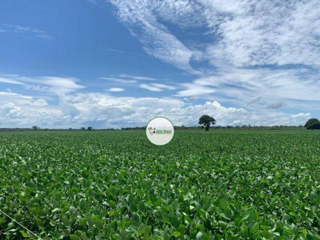 Fazenda a venda em São Miguel do Araguaia GO 484 HA Safra e safrinha