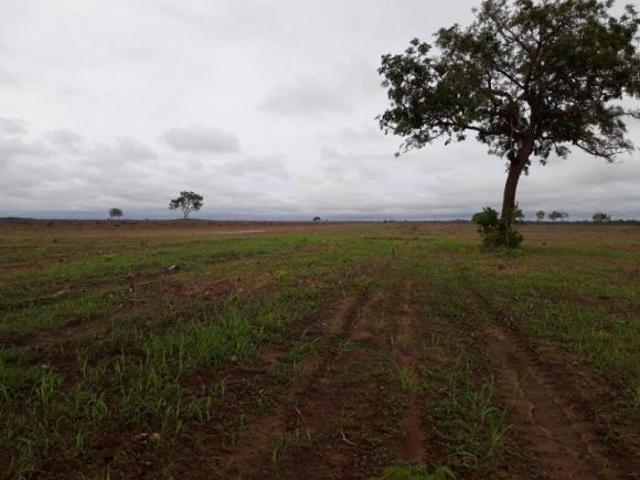 FAZENDA A VENDA EM SÃO FÉLIX DO ARAGUAIA MT!