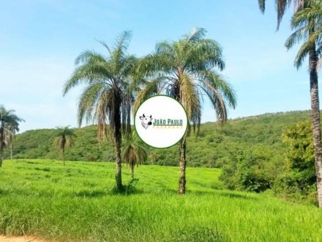 Fazenda a venda em São Gonçalo do Abaeté MG 460 hectares Toda formada e PRODUTIVA DUPLA APTIDÃO