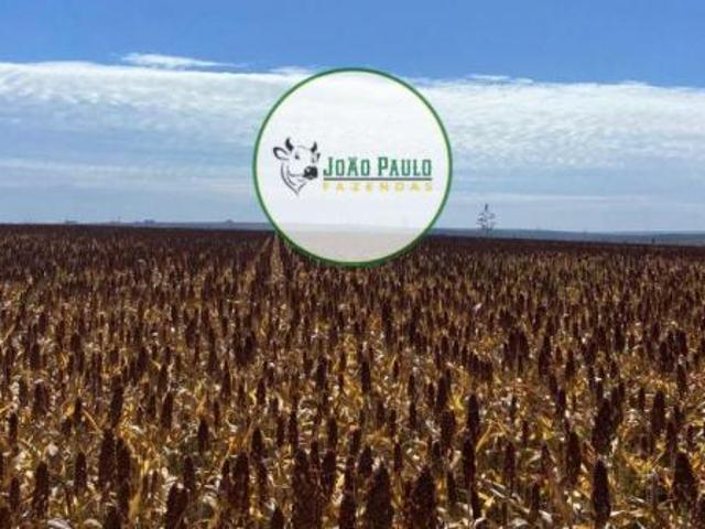 Fazenda a venda em São João D&apos Aliança 198 Hectares 105 HA de plantação