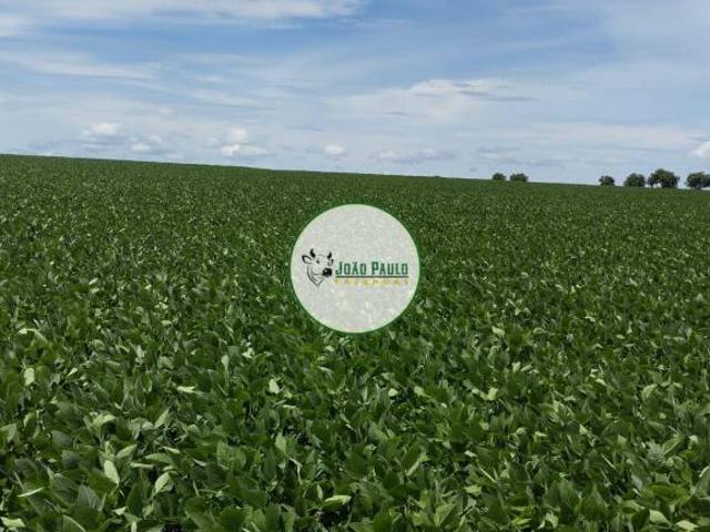 Fazenda a venda em São João D&apos Aliança 636 Hectares 380 HA de plantio