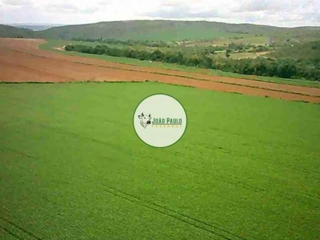 Fazenda a venda em São Joao D&apos Aliança 389 Hectares 253 Hectares em plantio