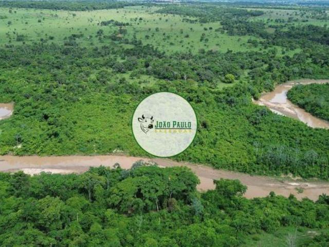 Fazenda a venda em São Luís de Montes Belos GO 1.621 Hectares DUPLA APTIDÃO