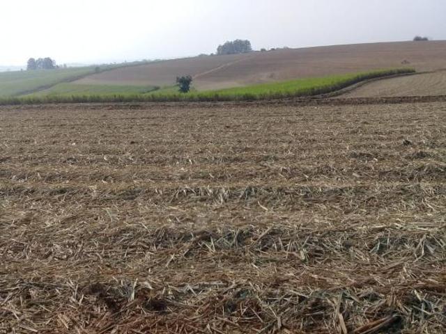 Fazenda à venda em Sorocaba SP: 1 quarto, 1 banheiro, 1.016.400,00 m² na Área Rural de Sorocaba. Apr