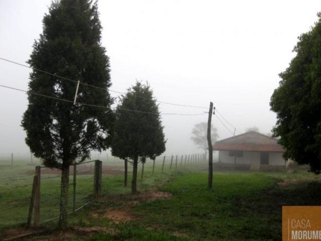 Fazenda à venda em Sacramento MG: 483,44 hectares em triângulo Mineiro