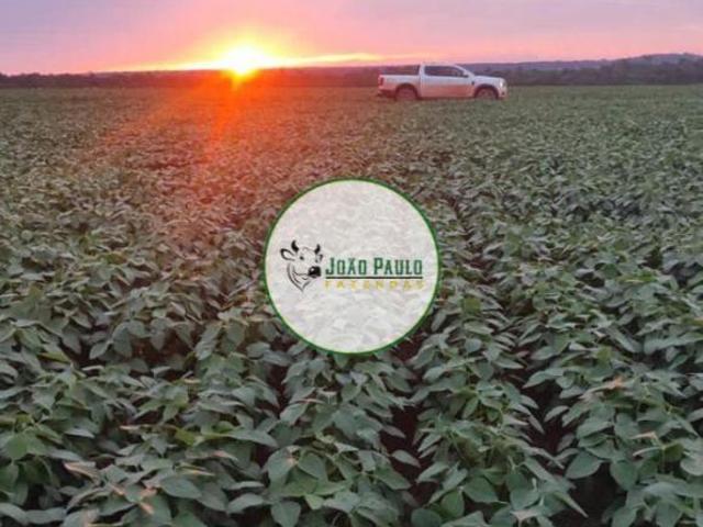 Fazenda a venda em Santa Cruz do Xingu MT 13.800 hectares Podendo abrir + 1.900 há para LAVOURA