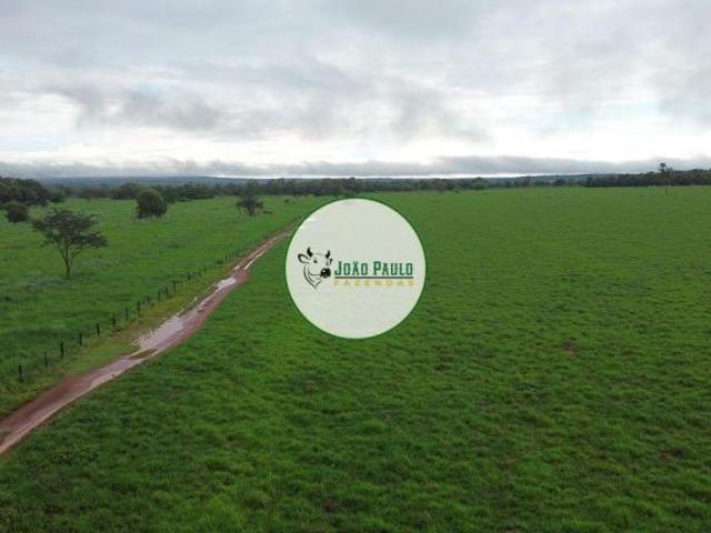 Fazenda a venda em Santa Fé de Goiás MG 764 Hectares 435 ha em capim