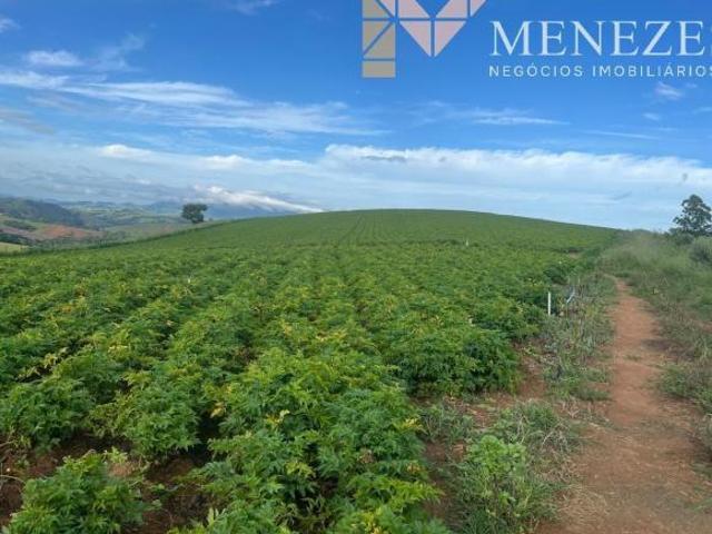 Fazenda à venda em Santa Rita de Caldas