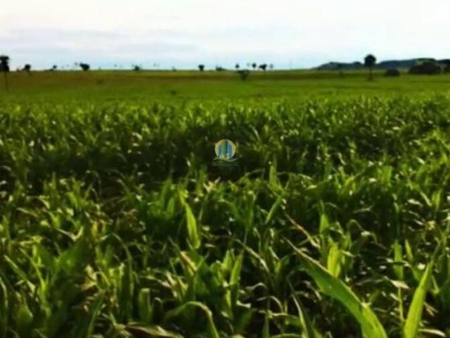 Fazenda à venda em Santa Vitória/MG