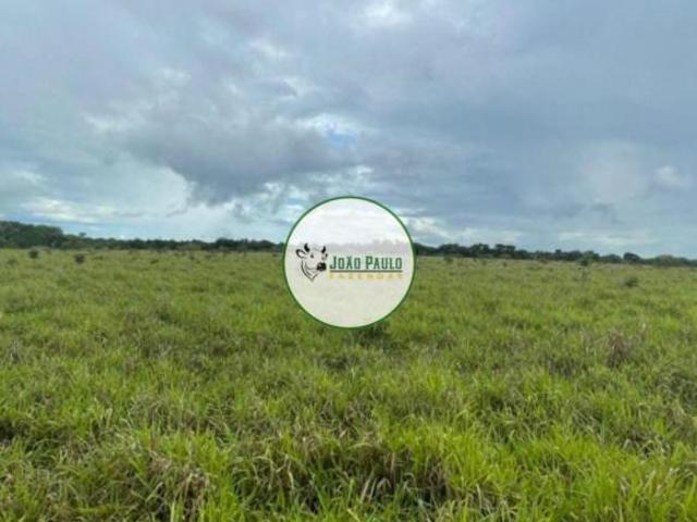 Fazenda a venda em Serra Bonita FORMOSA GO 2.374 Hectares Área de plantio 1.690 HA