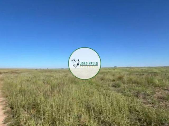 Fazenda a venda em Serra Bonita FORMOSA GO 59 Hectares EXCELENTE APTIDÃO PARA CULTIVO DE SOJA