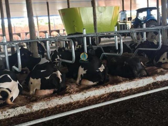 Fazenda á Venda em SP!