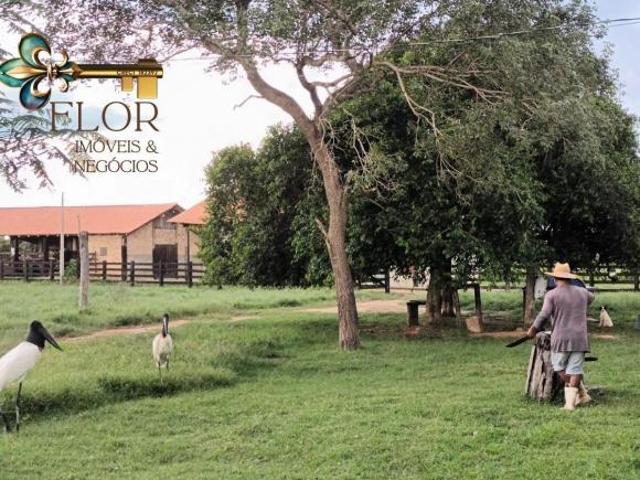 Fazenda à Venda em Poconé/MT – 7.420 Hectares às Margens do Rio Pixaim