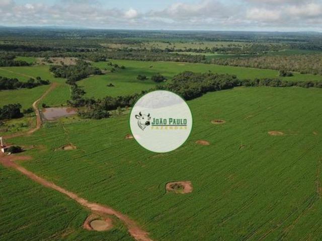 Fazenda a venda em Porangatu GO 479 Hectares Plantando a área total