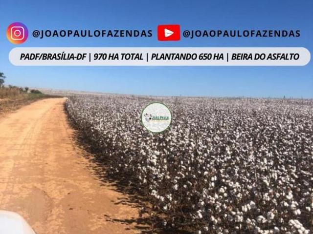 Fazenda a venda em PADF/Brasília DF 970 HA Ótimo para soja Oportunidade