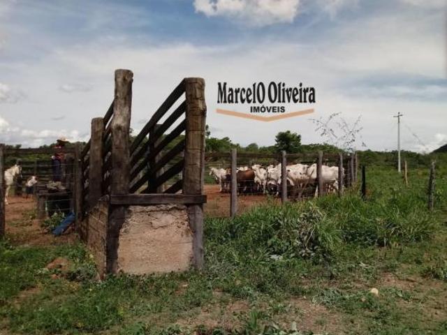 Fazenda à venda em Padre Bernardo de 150 alqueires!