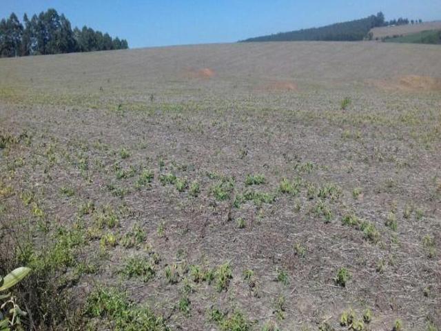Fazenda à venda em Paranapanema/SP