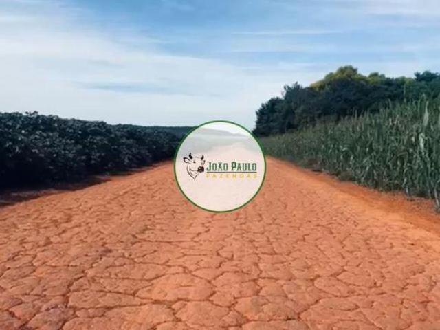 Fazenda a venda em Paranatinga MT 925 hectares Faz 100% lavoura