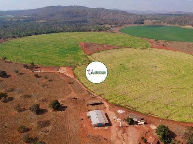 Fazenda a venda em Paracatu MG 125 HA Com pivôs PORTEIRA FECHADA