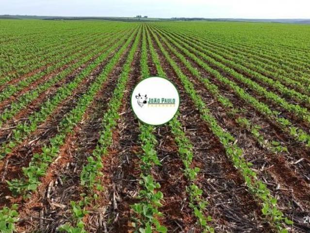 Fazenda a venda em Paracatu MG 1.723 HA Plana Altitude 850/950m
