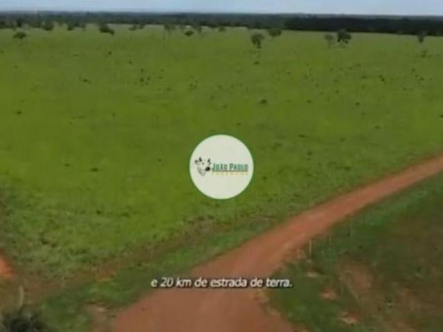 Fazenda a venda em Paracatu MG 1.260 Hectares 900 ha de pasto formado