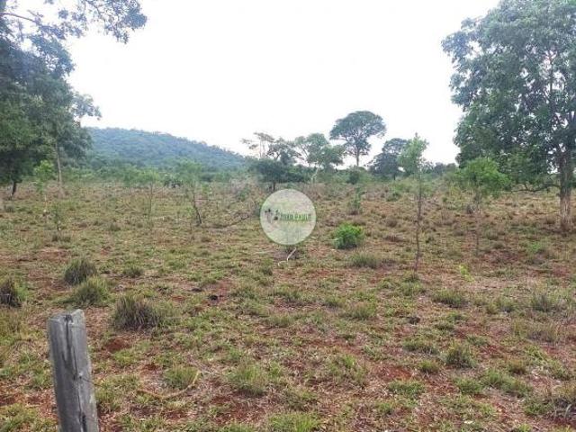 Fazenda a venda em Paracatu MG 303 hectares Muita água 100 HA em pasto