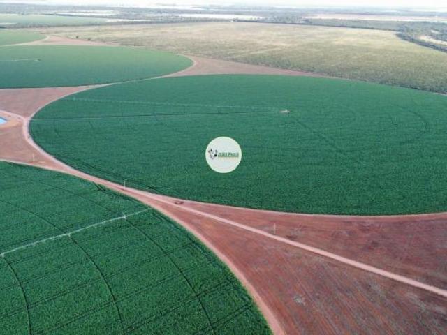 Fazenda a venda em Paracatu MG 557 HA P/ AGRICULTURA