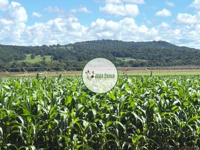 Fazenda a venda em Paracatu MG 769 Hectares Pecuária & Lavoura Estrutura Completa