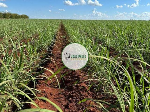 Fazenda a venda em Paraúna GO 619 Hectares Região de Safra e safrinha Próximo ao asfalto