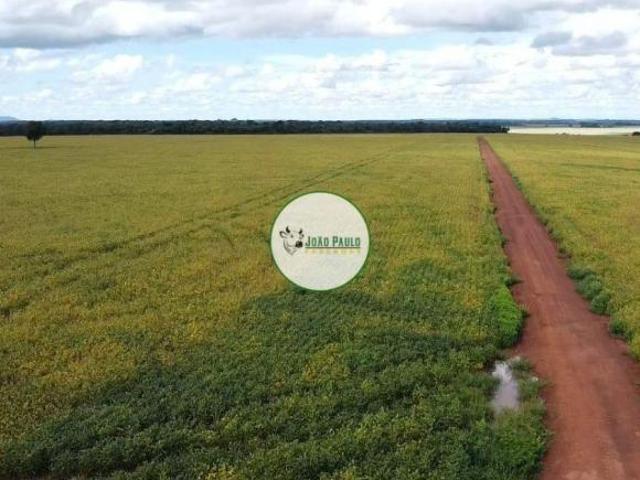 Fazenda a venda em Piranhas GO 232 Hectares 193 HA em LAVOURA