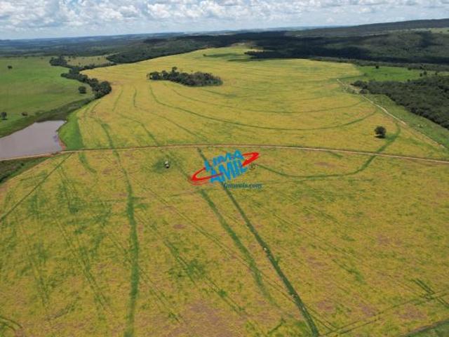 Fazenda à venda em Piracanjuba GO na Zona Rural com infraestrutura completa!