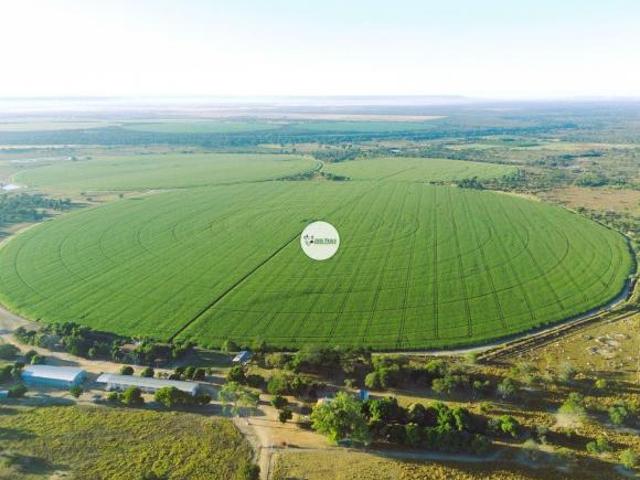 Fazenda a venda em PIRAPORA MG 2.423 HA LAVOURA PECUÁRI ACTRICULTURA