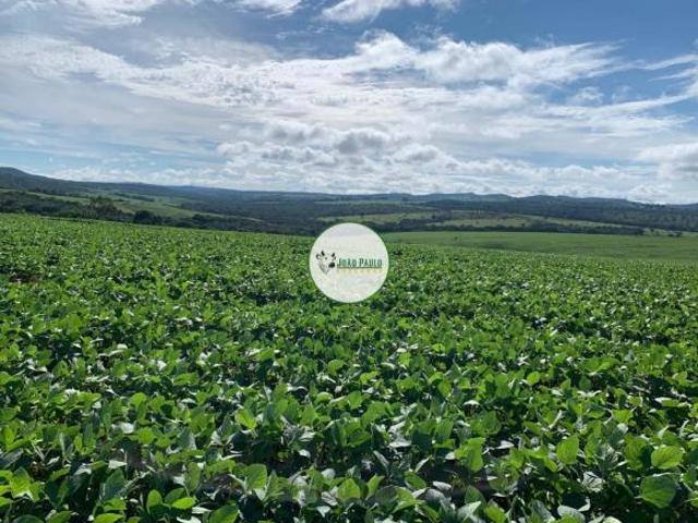 Fazenda a venda em Pires do Rio GO 551 HA 380 ha em lavoura Pode irrigar