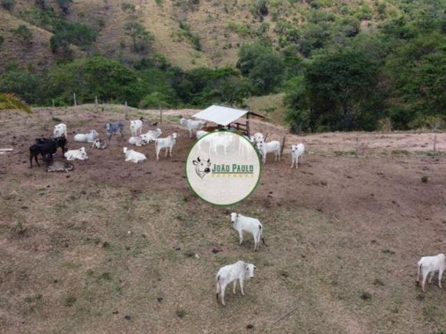 Fazenda a venda em Planaltina GO 410 Hectares para PECUÁRIA