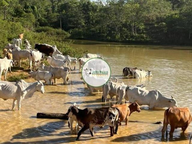 Fazenda a venda em Planaltina GO 141 Hectares Aptidão ideal para pecuária e agricultura