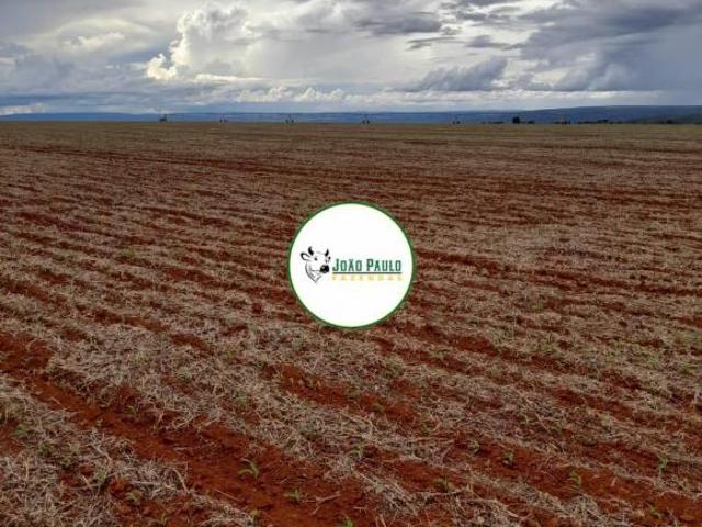 Fazenda a venda em Planaltina GO 1.958 Hectares Pronta para HF e LAVOURA