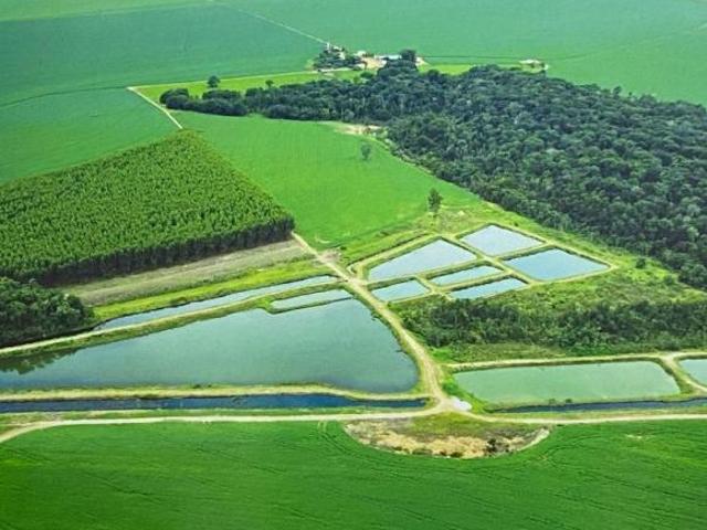 Fazenda à venda em Primavera do Leste MT com 985 hectares de área
