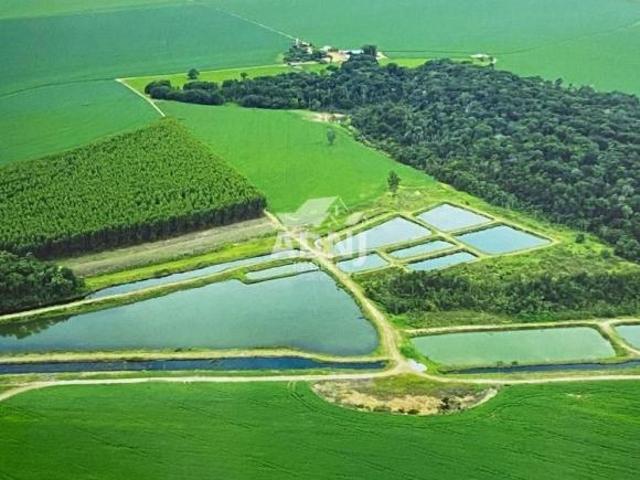 Fazenda à venda em Primavera do Leste MT com 985 hectares de área