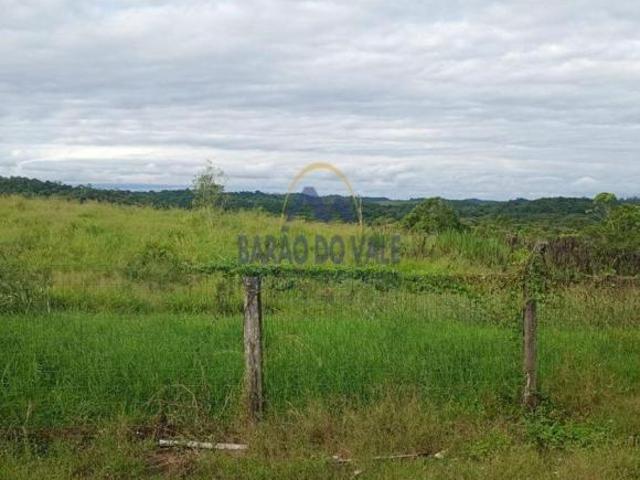 Fazenda à Venda em Registro – 202 Hectares com Gado, Estrutura Completa e Beira do Rio
