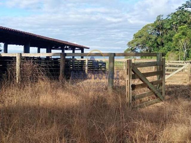 Fazenda à Venda em Registro – 202 Hectares com Gado, Estrutura Completa e Beira do Rio