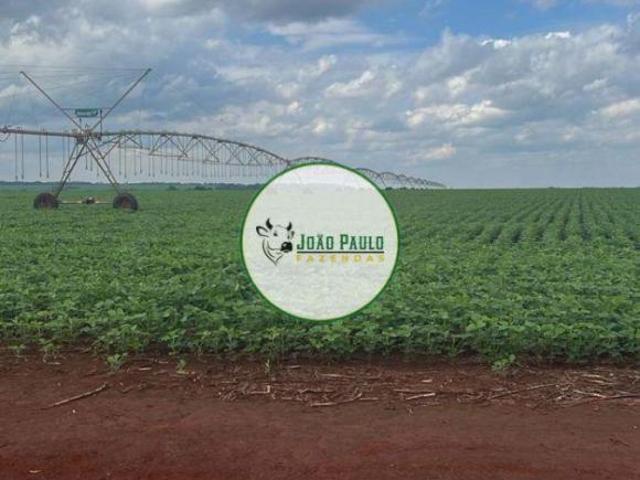 Fazenda a venda em Rio Verde GO 297 Hectares Área arrendada no pivô