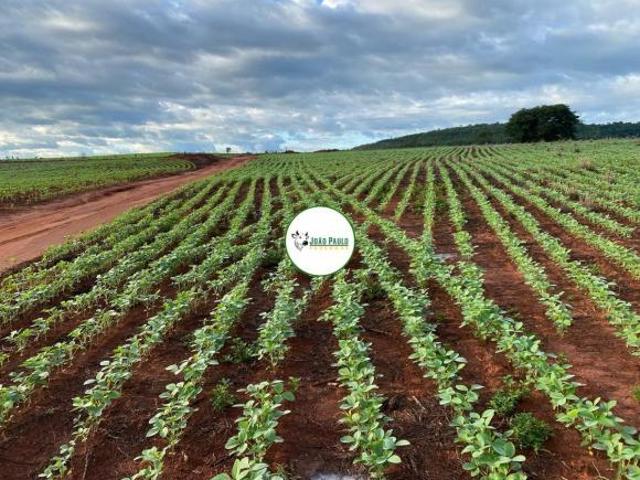 Fazenda a venda em Rio Verde GO 96 HA Infraestrutura completa