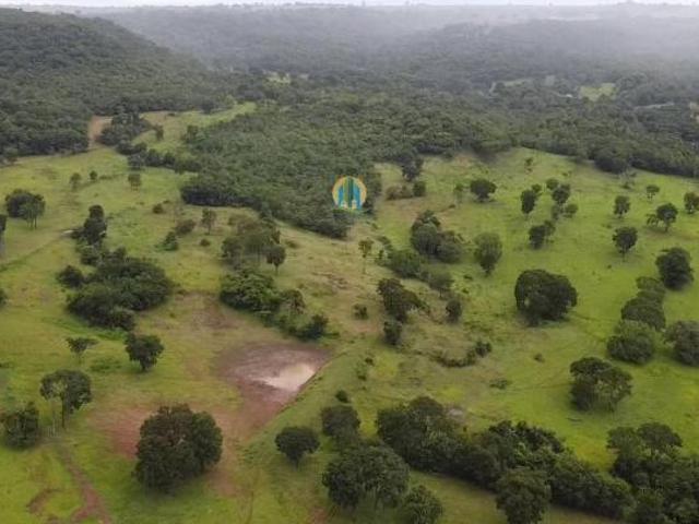 Fazenda à venda em Rio Verde/GO