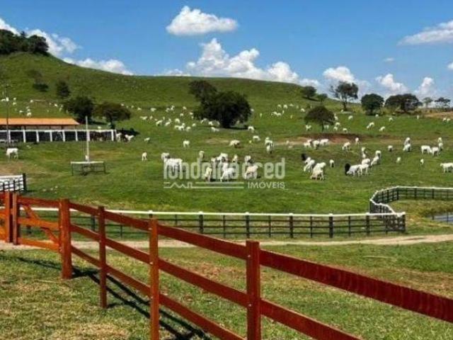 Fazenda à Venda em Rural, Uraí PR