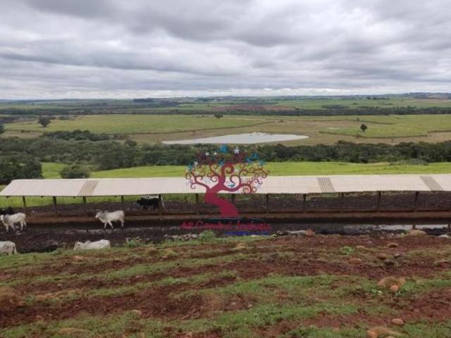 fazenda à venda em Tatui