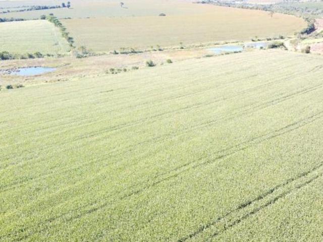 Fazenda à Venda em Taquarituba/SP