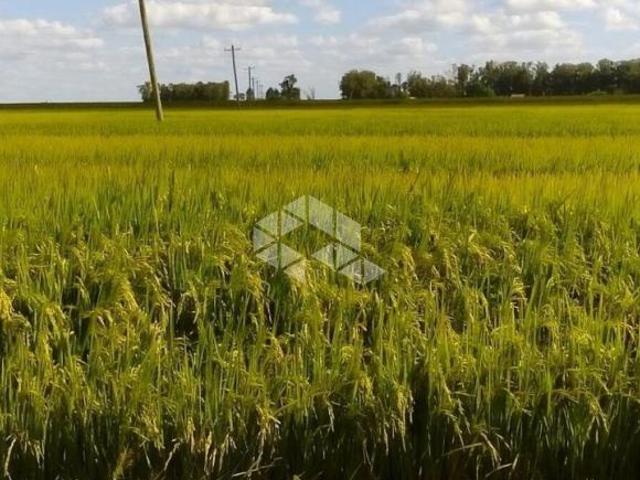 Fazenda à venda em Triunfo no RS