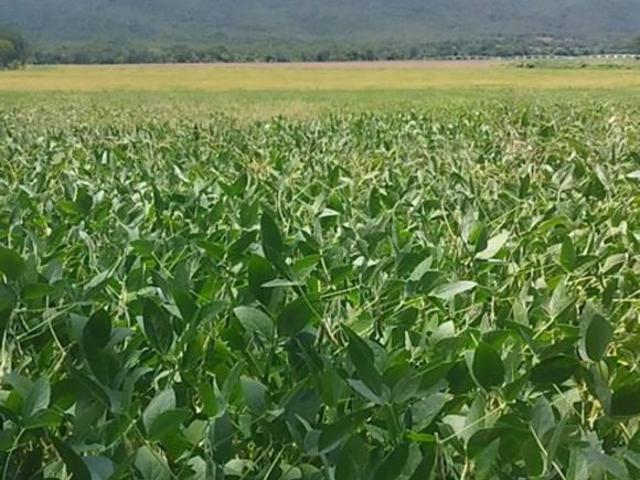 FAZENDA À VENDA EM UNAÍ – MG