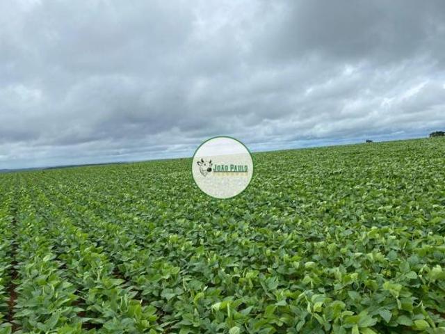 Fazenda a venda em Unaí MG 472 Hectares Fazenda DUPLA APTIDÃO